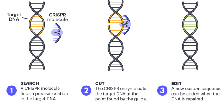 Analyzing CRISPR data in Tableau – AI for the Enterprise
